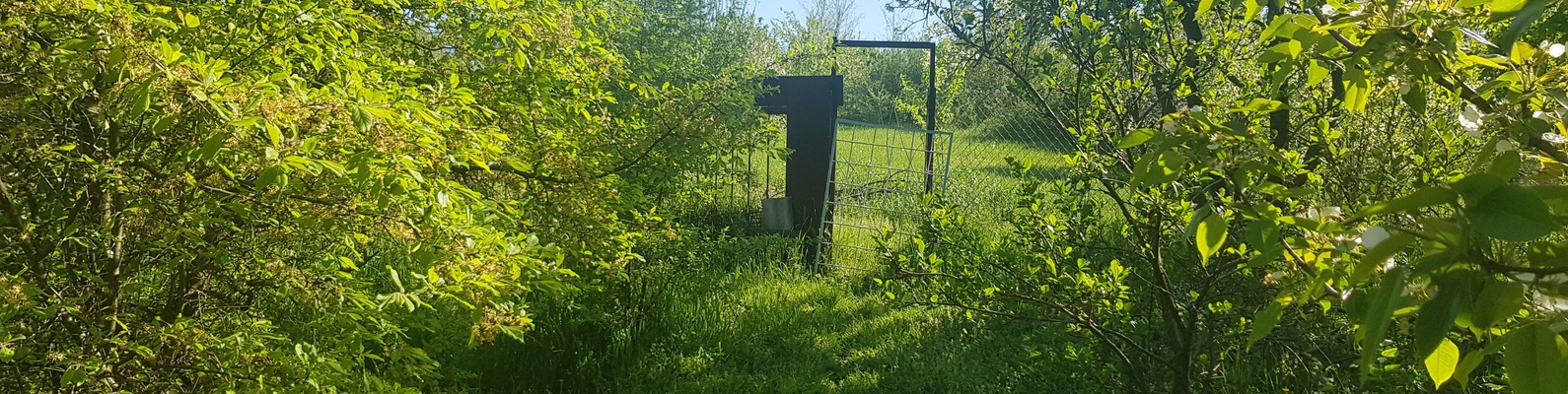 Maxim Kharchenko | Официальная сообщество канала 2025 | ВКонтакте